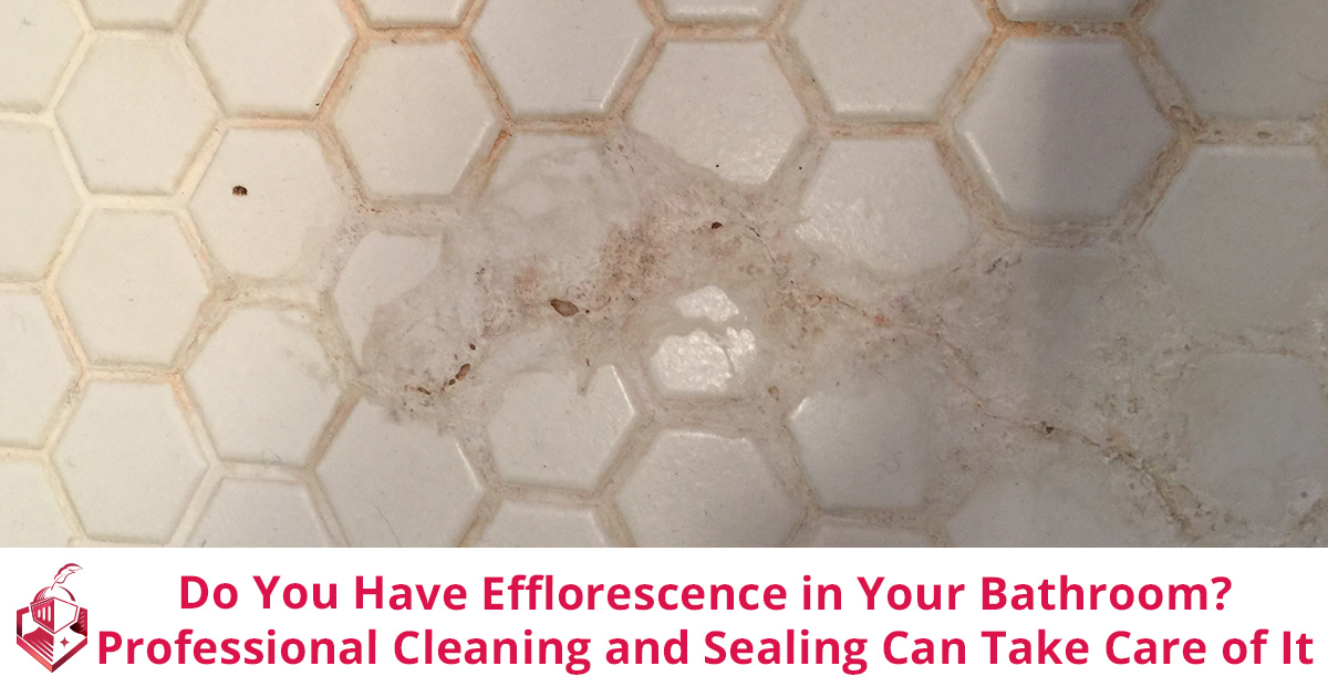 Do You Have Efflorescence in Your Bathroom? Professional Cleaning and ...