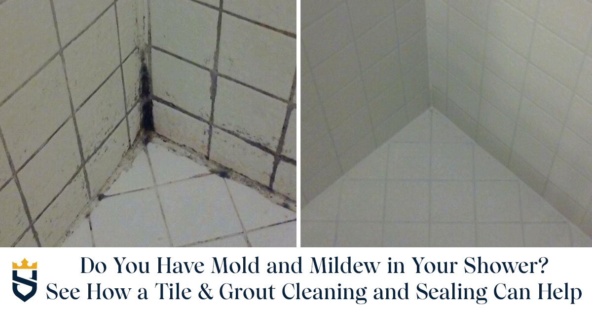 Mildew Shower