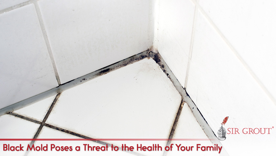 Can Grout Get Moldy?